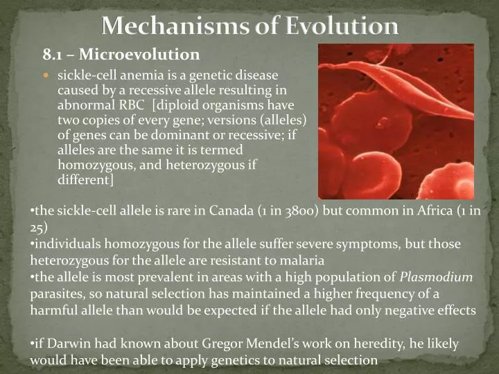 PPT - Mechanisms of Evolution PowerPoint Presentation, free download ...