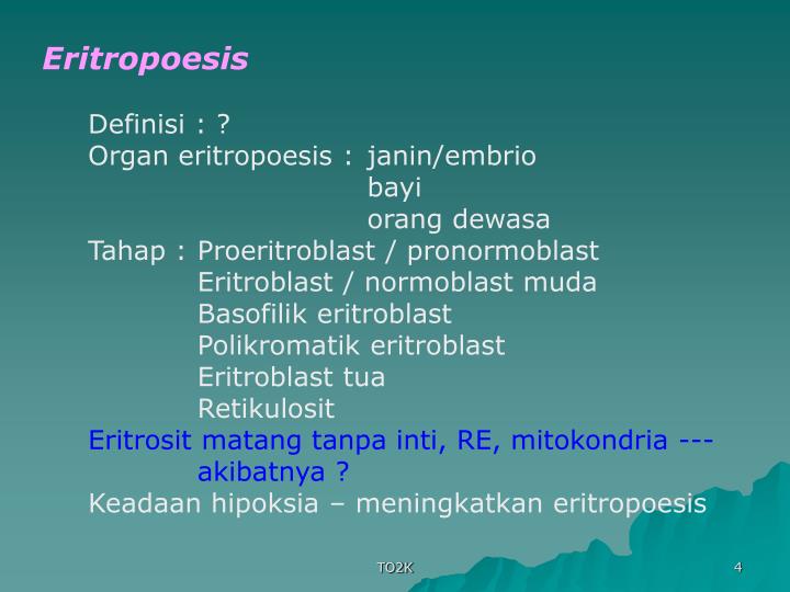 PPT - SISTEM SIRKULASI PowerPoint Presentation - ID:3903411