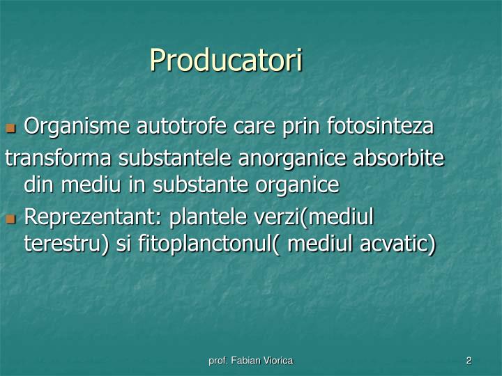PPT - Relatii trofice in ecosisteme PowerPoint Presentation - ID:3903626