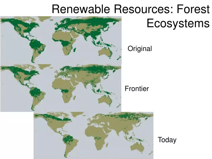 PPT - Renewable Resources: Forest Ecosystems PowerPoint Presentation ...