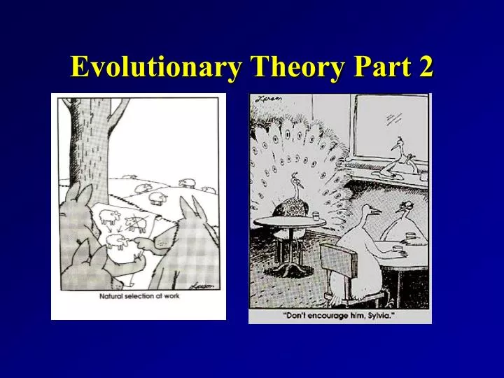 PPT - Evolutionary Theory Part 2 PowerPoint Presentation, free download ...