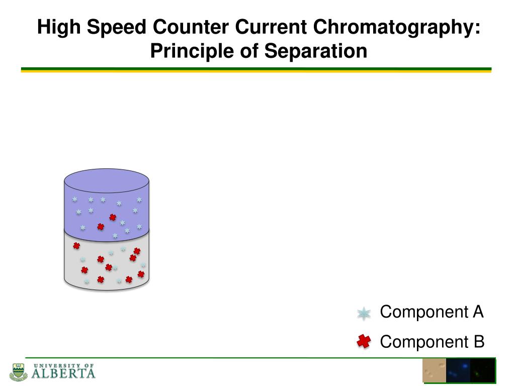 PPT - Canada Research Chair in Food Microbiology and Probiotics ...