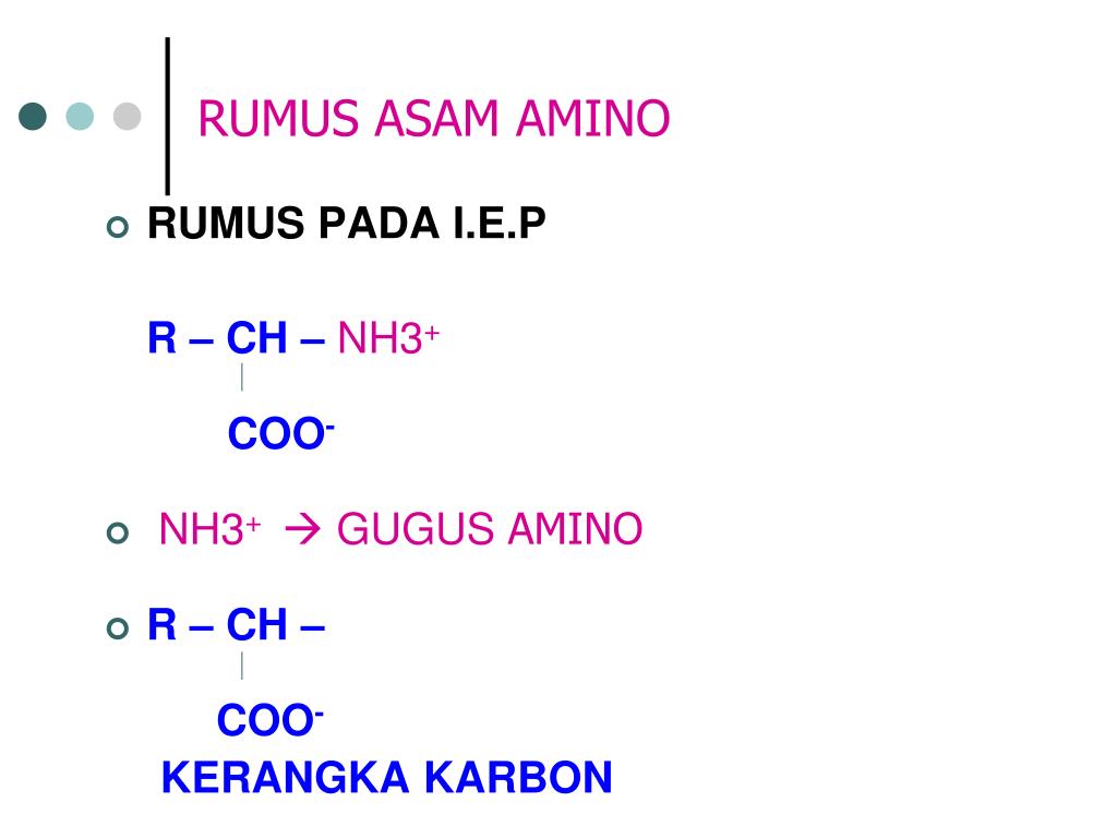 PPT - METABOLISME PROTEIN DAN ASAM AMINO PowerPoint Presentation, free ...