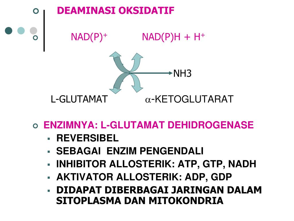 PPT - METABOLISME PROTEIN DAN ASAM AMINO PowerPoint Presentation, free ...