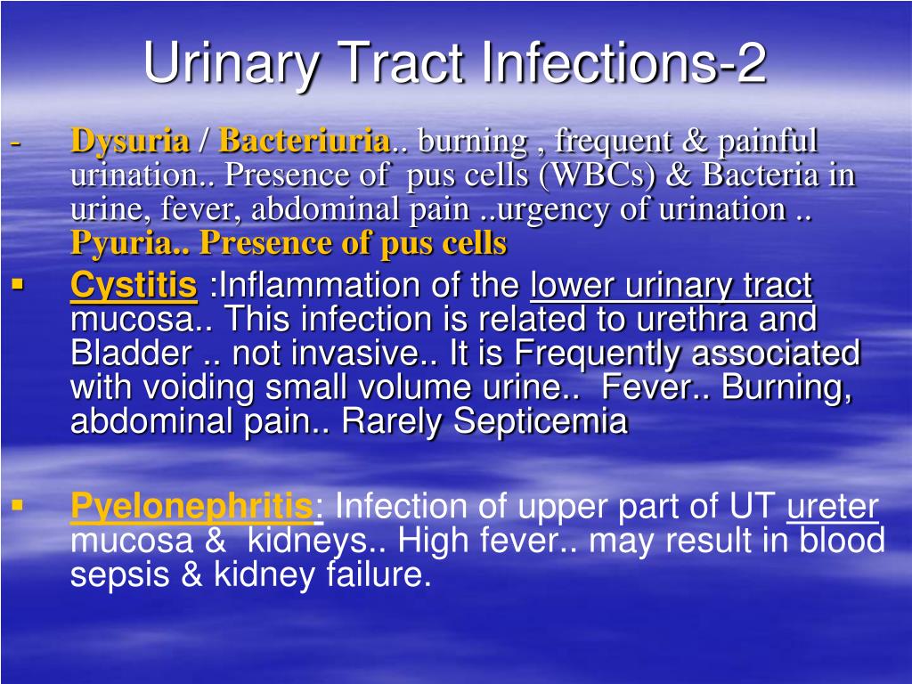 PPT - URINARY TRACT INFECTIONS 3 rd Y Med Students PowerPoint ...
