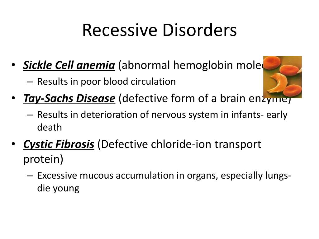 PPT - TYPES OF REPRODUCTION AND MEIOSIS PowerPoint Presentation, free ...