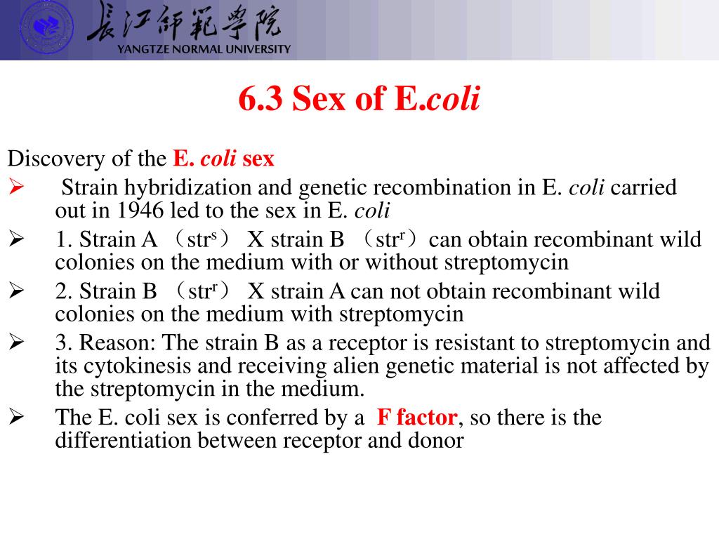 Ppt Chaper 6 Inheritance Analysis Of Bacteria Powerpoint Presentation Id3909906