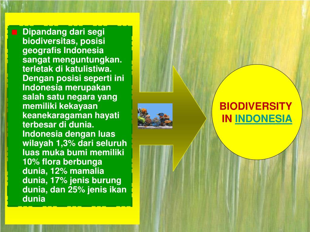 Ppt Keanekaragaman Hayati Di Indonesia Dan Usaha Pelestarian Serta