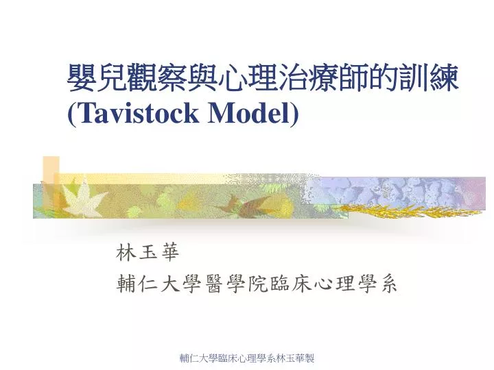 PPT - 嬰兒觀察與心理治療師的訓練 (Tavistock Model) PowerPoint Presentation - ID:3915373
