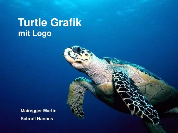 PPT - Turtle Grafik PowerPoint Presentation, free download - ID:3915586
