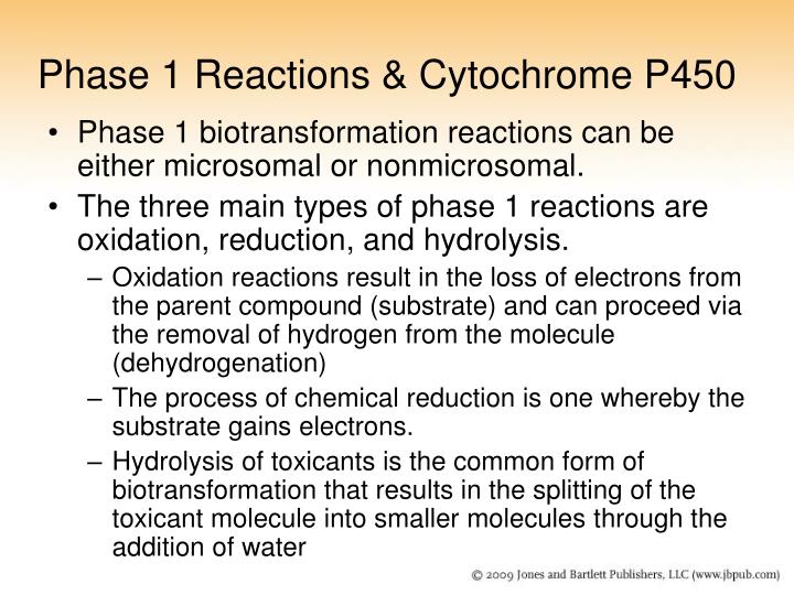 PPT - Chapter 9 Biotransformation PowerPoint Presentation - ID:3916125