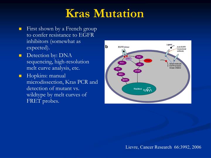 PPT - Molecular Pathology and the Molecular Diagnostics Lab PowerPoint ...
