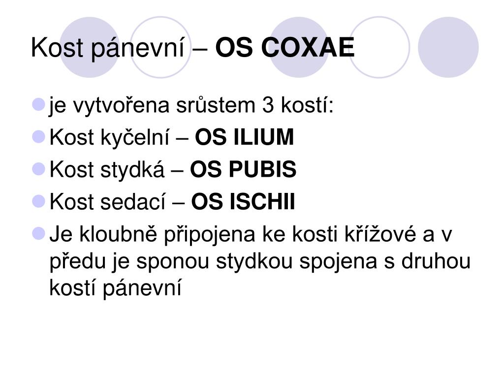 PPT - Kosti pánevního pletence a pánve. Roviny a směry pánevní. Kosti ...