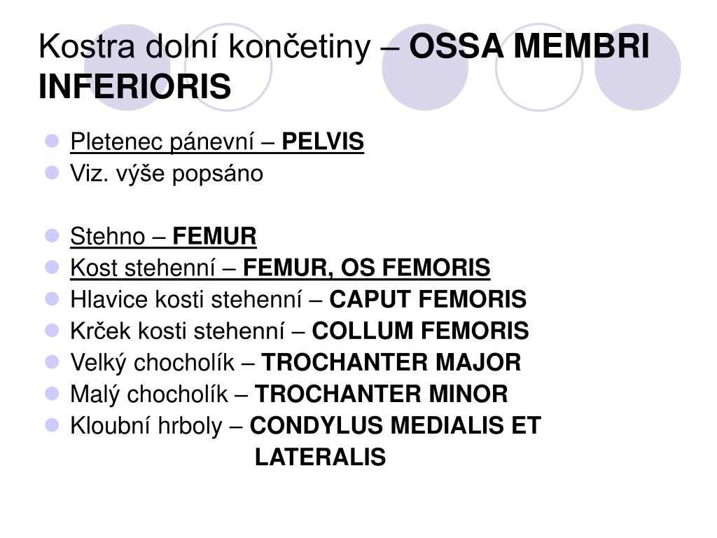 PPT - Kosti pánevního pletence a pánve. Roviny a směry pánevní. Kosti ...