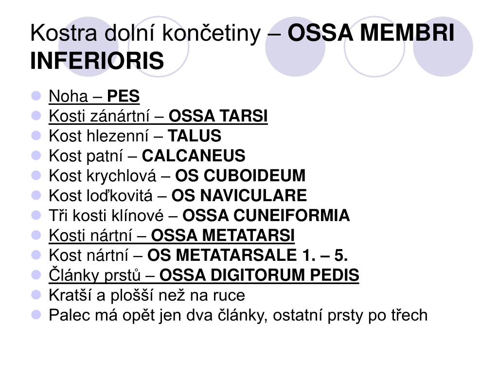 PPT - Kosti pánevního pletence a pánve. Roviny a směry pánevní. Kosti ...