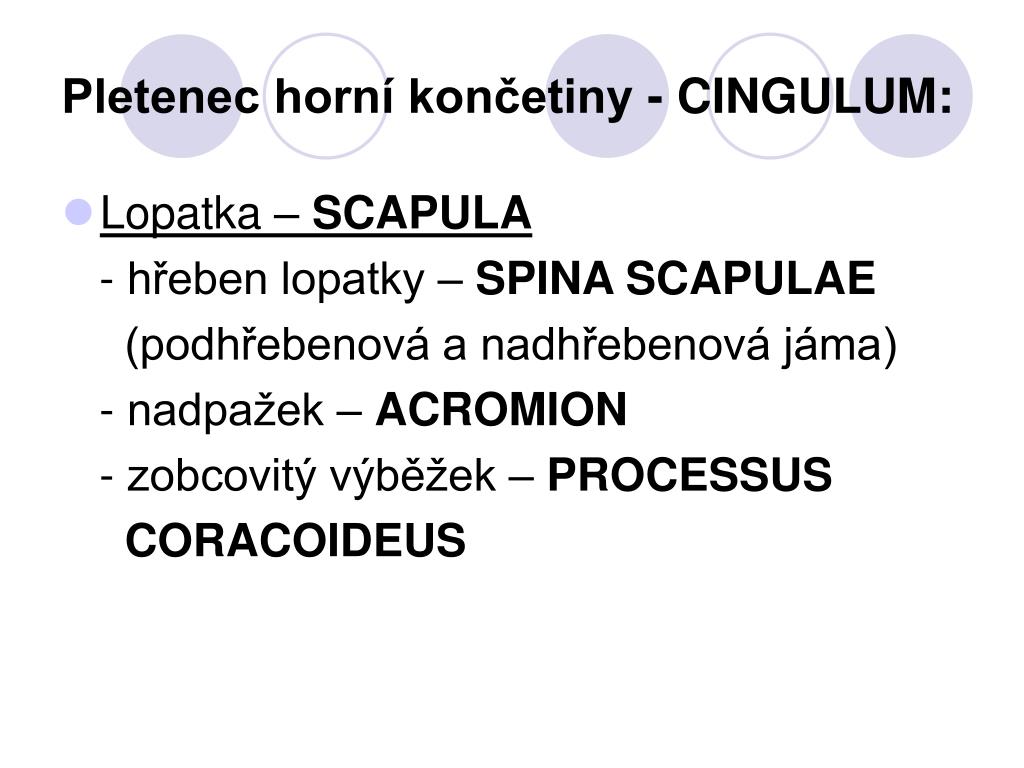 PPT - Kosti pánevního pletence a pánve. Roviny a směry pánevní. Kosti ...