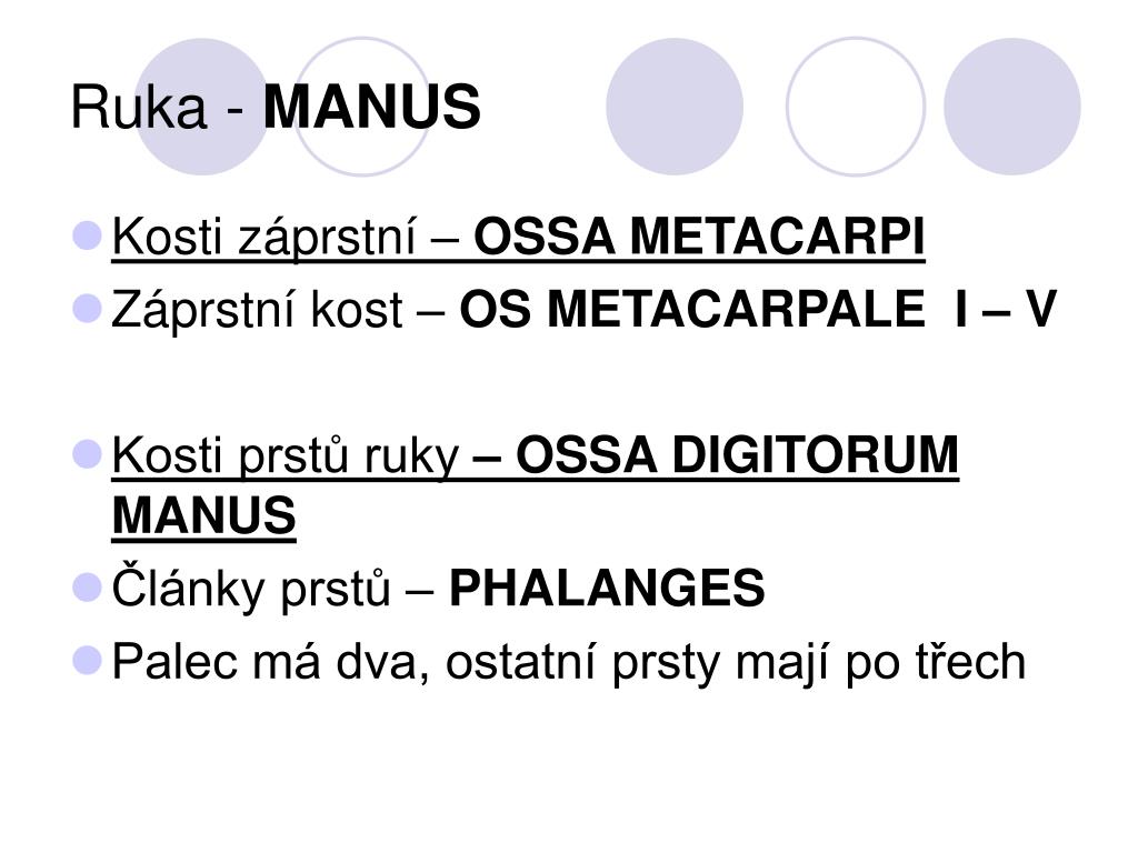 PPT - Kosti pánevního pletence a pánve. Roviny a směry pánevní. Kosti ...