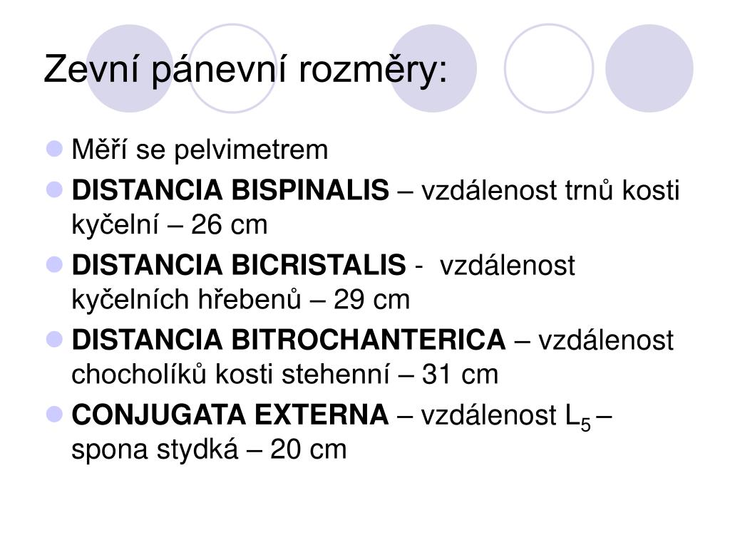 PPT - Kosti pánevního pletence a pánve. Roviny a směry pánevní. Kosti ...