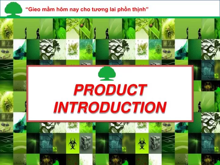 PPT - PRODUCT INTRODUCTION PowerPoint Presentation, free download - ID ...