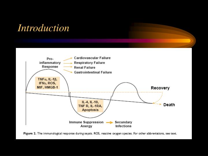 PPT - Review of SIRS Criteria as a Predictor of Severe Sepsis and ...