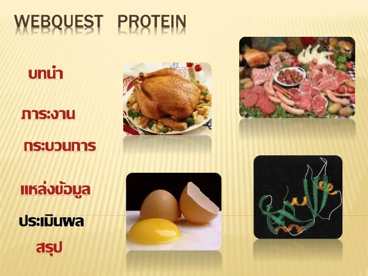 PPT - WEBQUEST ProtEIn PowerPoint Presentation, free download - ID:3920875