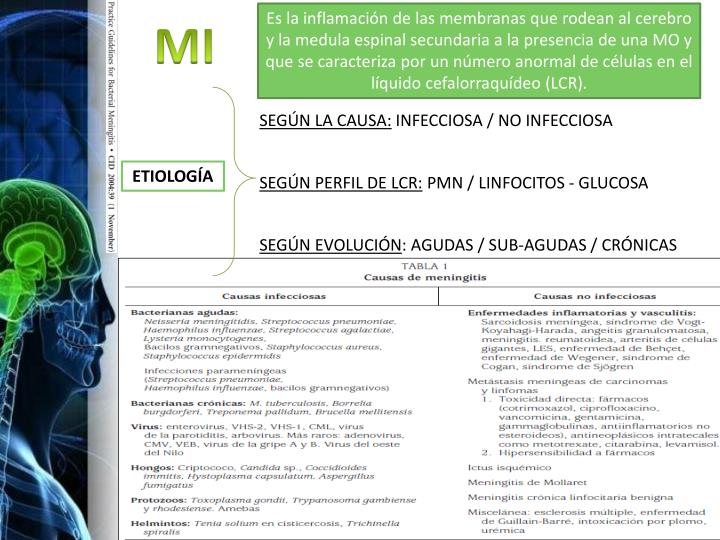PPT - MENINGITIS AGUDA BACTERIANA PowerPoint Presentation - ID:3923085