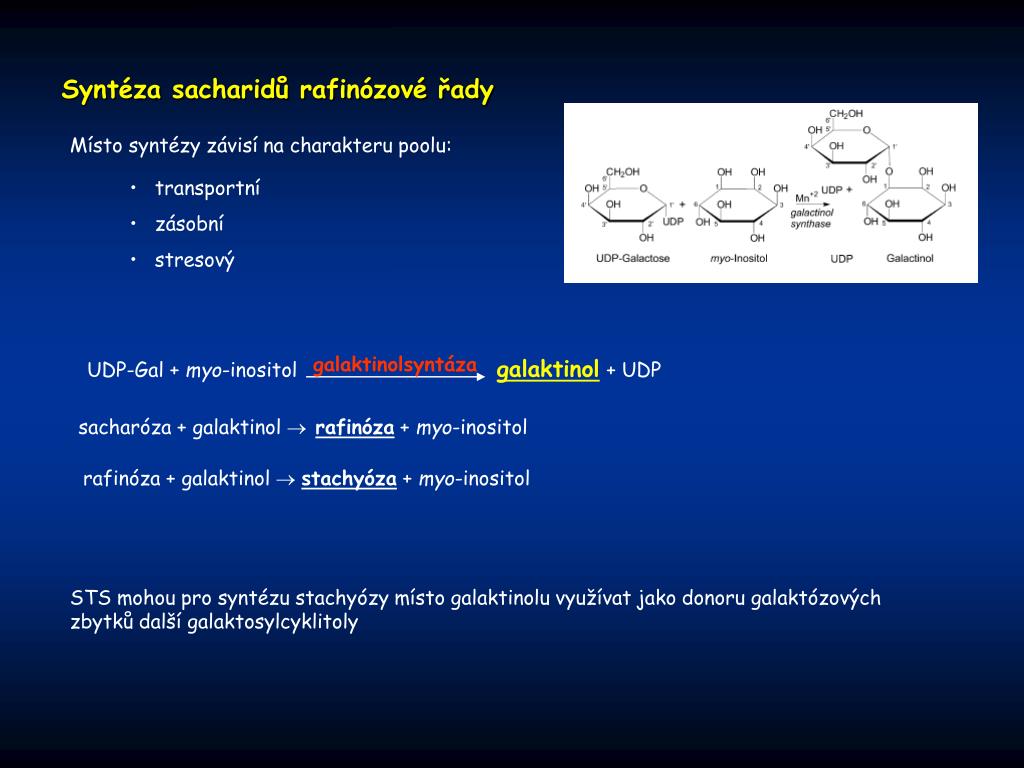 PPT - Co se děje v produkční buňce ?? PowerPoint Presentation, free ...