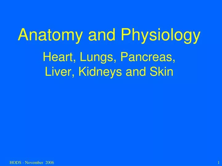 PPT - Anatomy and Physiology PowerPoint Presentation, free download - ID:3929264
