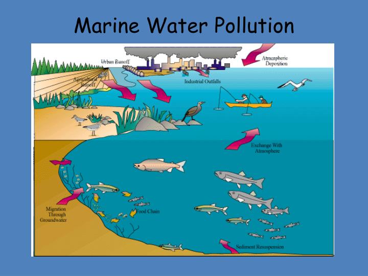 PPT - The Hydrosphere PowerPoint Presentation - ID:3929507