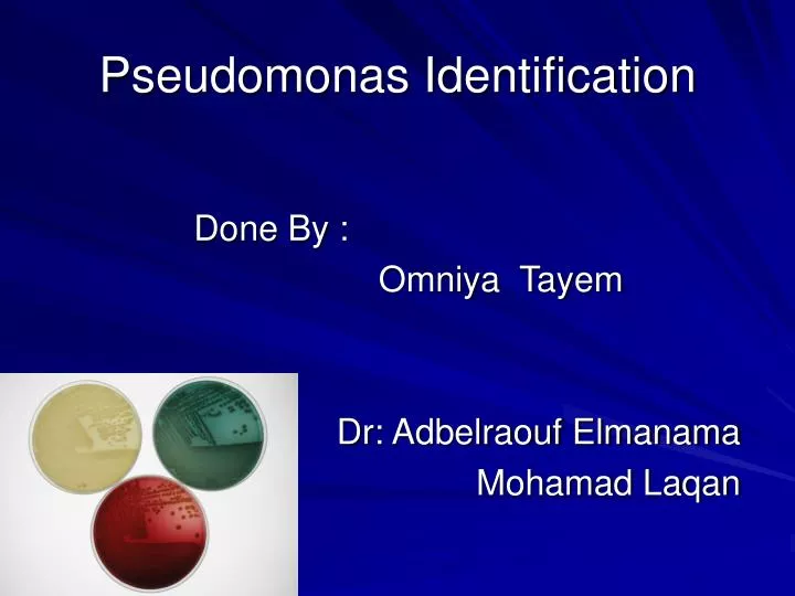PPT - Pseudomonas Identification PowerPoint Presentation, free download ...
