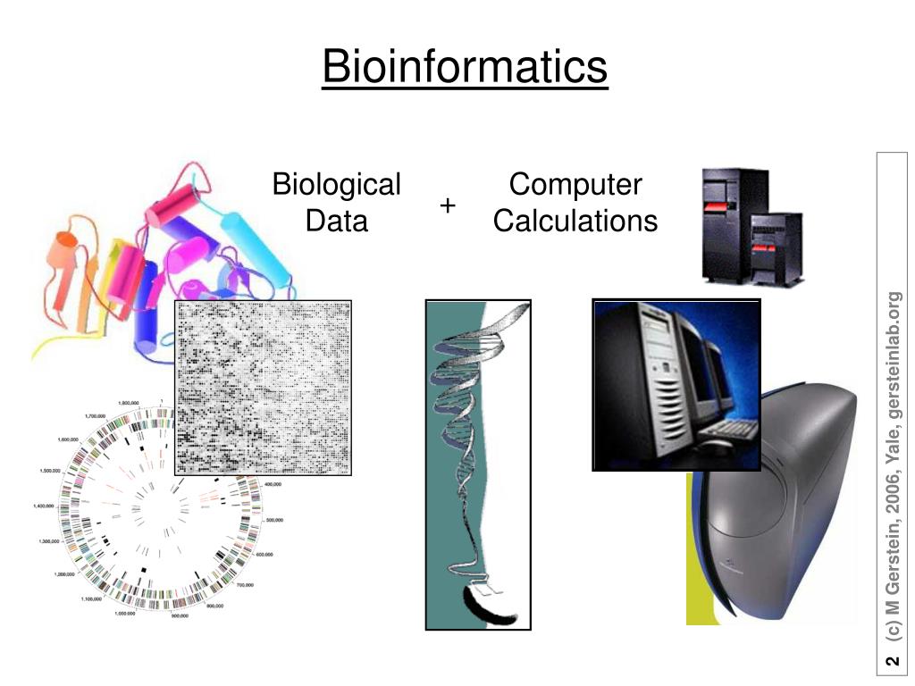 Ppt Bioinformatics Introduction Powerpoint Presentation Free