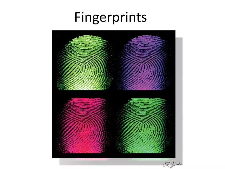 PPT - Fingerprints PowerPoint Presentation, free download - ID:3930838