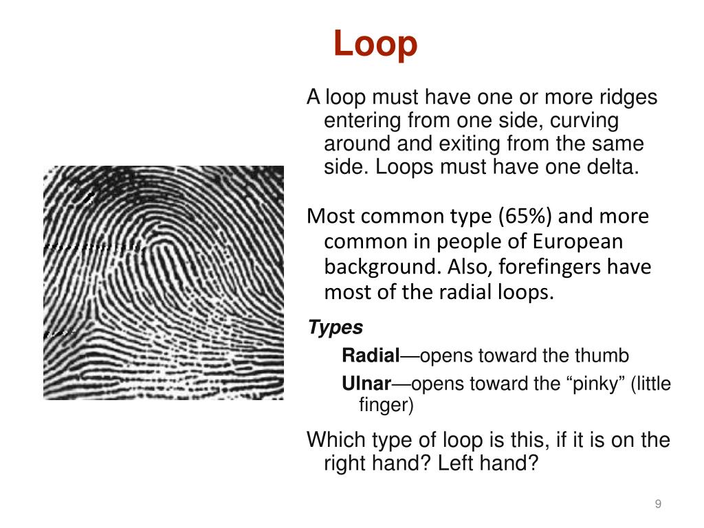 PPT Chapter 4 Fingerprints PowerPoint Presentation Free Download PPT Chapter 4 Fingerprints PowerPoint Presentation Free Download