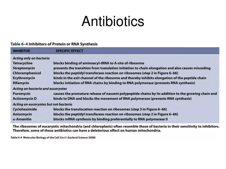 PPT - Antibiotics PowerPoint Presentation, free download - ID:3930907