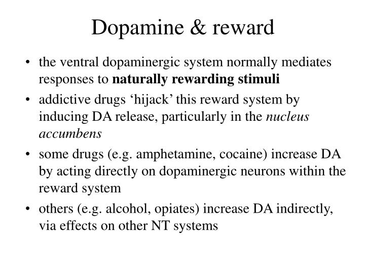 PPT - Lecture 4 - Dopamine PowerPoint Presentation - ID:3931175