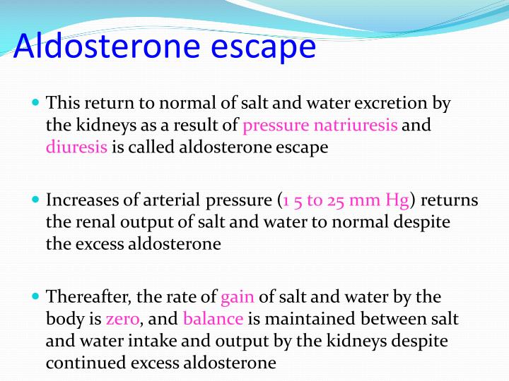 PPT - بسم الله الرحمن الرحیم PowerPoint Presentation - ID:3931278