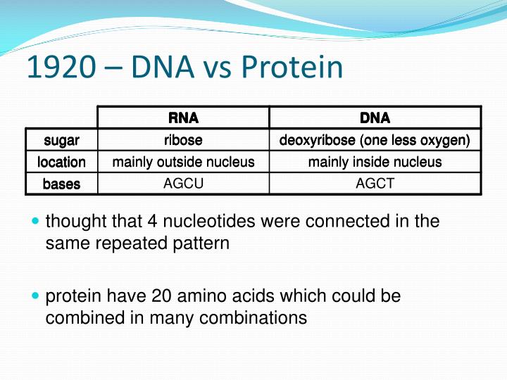 PPT - The History of DNA Structure Discovery PowerPoint Presentation ...