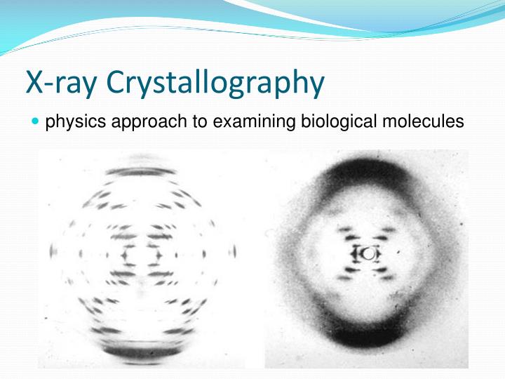PPT - The History of DNA Structure Discovery PowerPoint Presentation ...