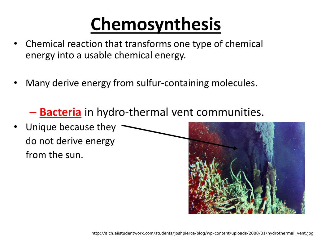 PPT - WARM UP PowerPoint Presentation, free download - ID:3932923