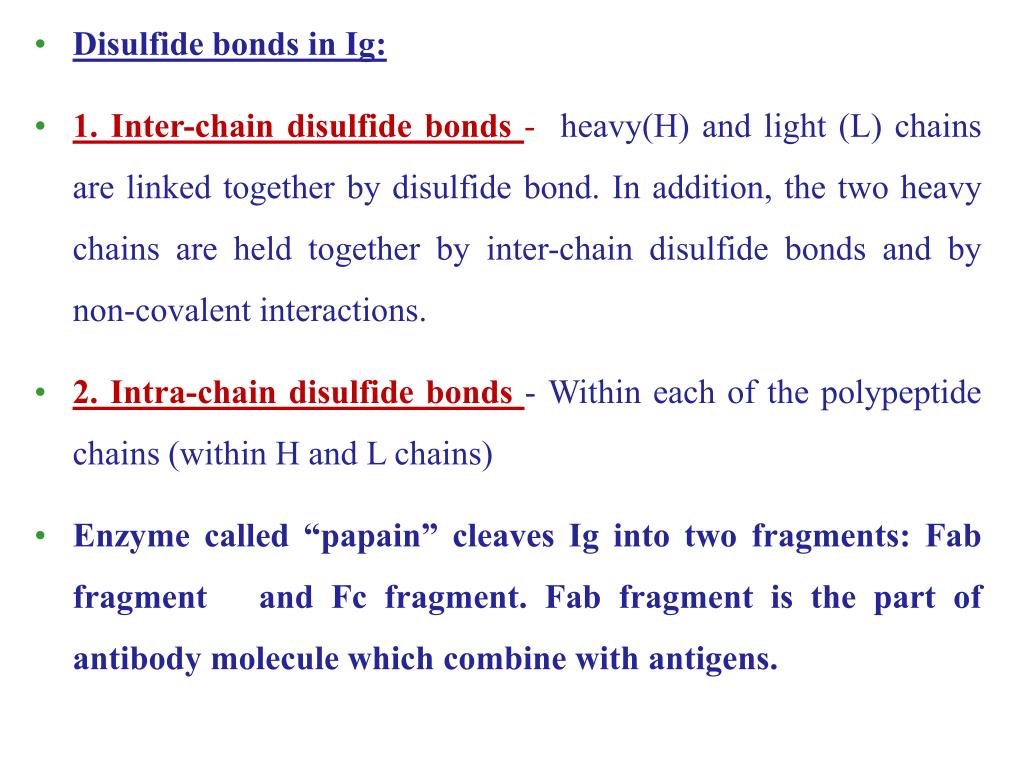 PPT - Antibodies ( Immunglobulins ( Igs ) A- Definition: PowerPoint ...