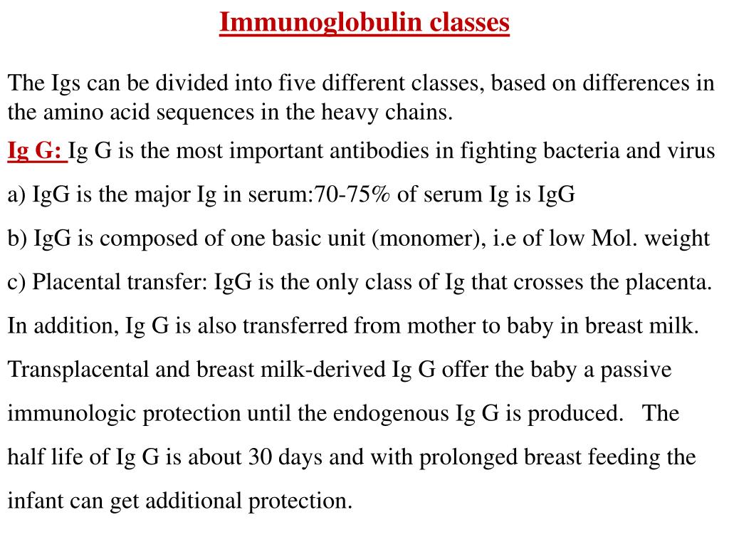 PPT - Antibodies ( Immunglobulins ( Igs ) A- Definition: PowerPoint ...