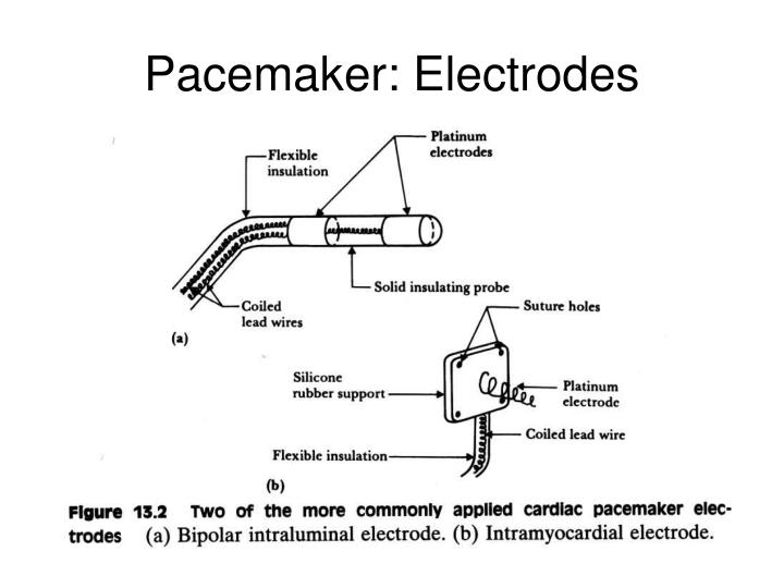 PPT - Lecture 7 Chapter 13: Therapeutic/Prosthetic Devices – Pacemakers ...
