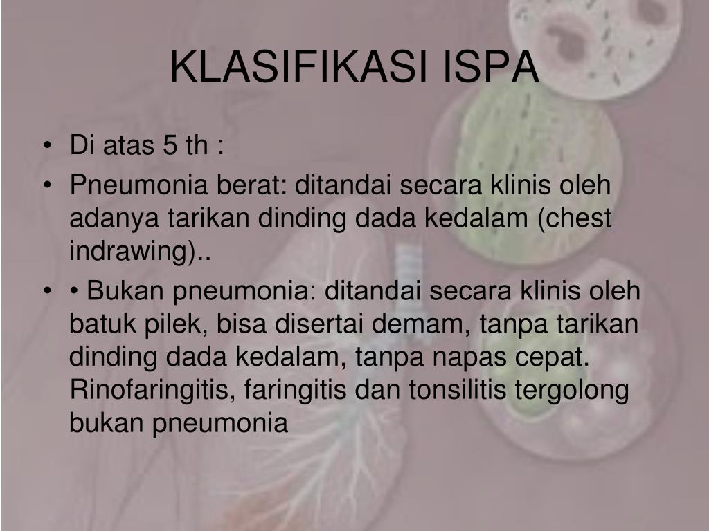 PPT - EPIDEMIOLOGI INFEKSI SALURAN PERNAFASAN AKUT (ISPA) PowerPoint ...