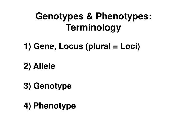 PPT - Genotypes & Phenotypes: Terminology PowerPoint Presentation, free ...