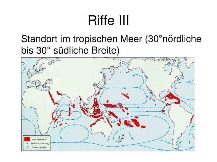 PPT - LdL – Ein Blick ins Korallenriff PowerPoint Presentation - ID:3938236