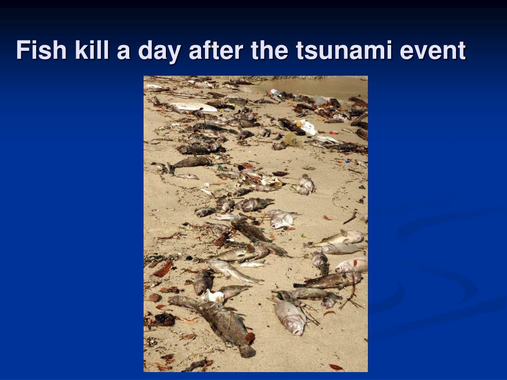 PPT - AN ASSESSMENT ON THE EFFECTS OF THE TSUNAMI ON THE MALAYSIAN ...