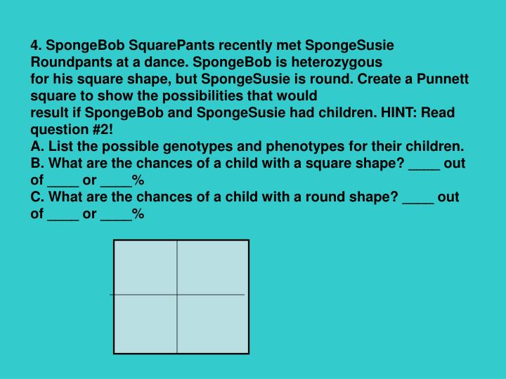 PPT - Spongebob Genetics PowerPoint Presentation - ID:3938531