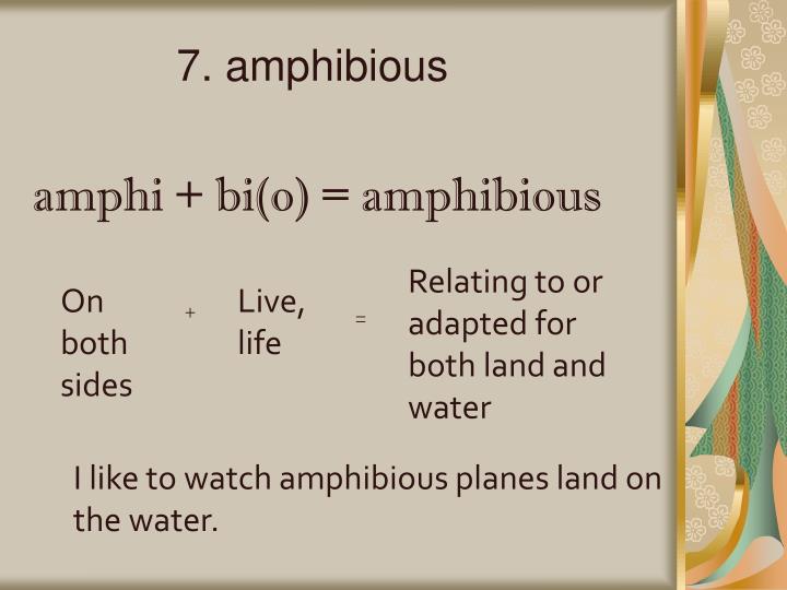 PPT - Ambi- is a Latin prefix Amphi- is a Greek prefix they both mean ...