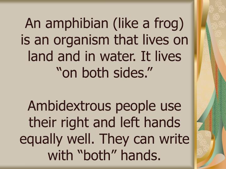 PPT - Ambi- is a Latin prefix Amphi- is a Greek prefix they both mean ...