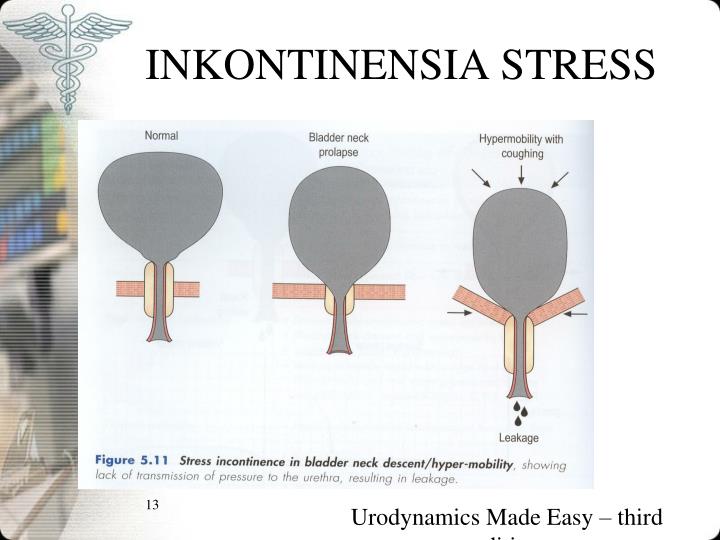 PPT - Inkontinensia Urin PowerPoint Presentation - ID:3940285